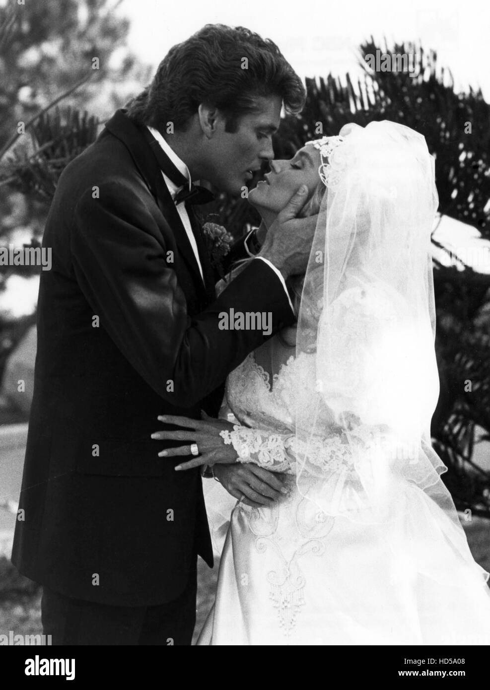 KNIGHT RIDER, David Hasselhoff and real-life wife Catherine Hickland ...