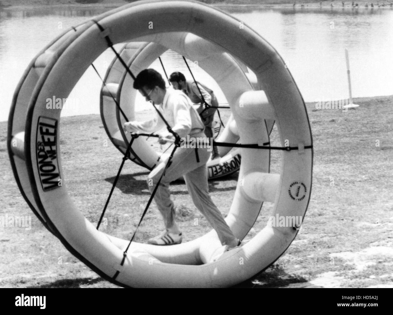 THE KRYPTON FACTOR, contestants, 1981, © ABC / Courtesy: Everett ...