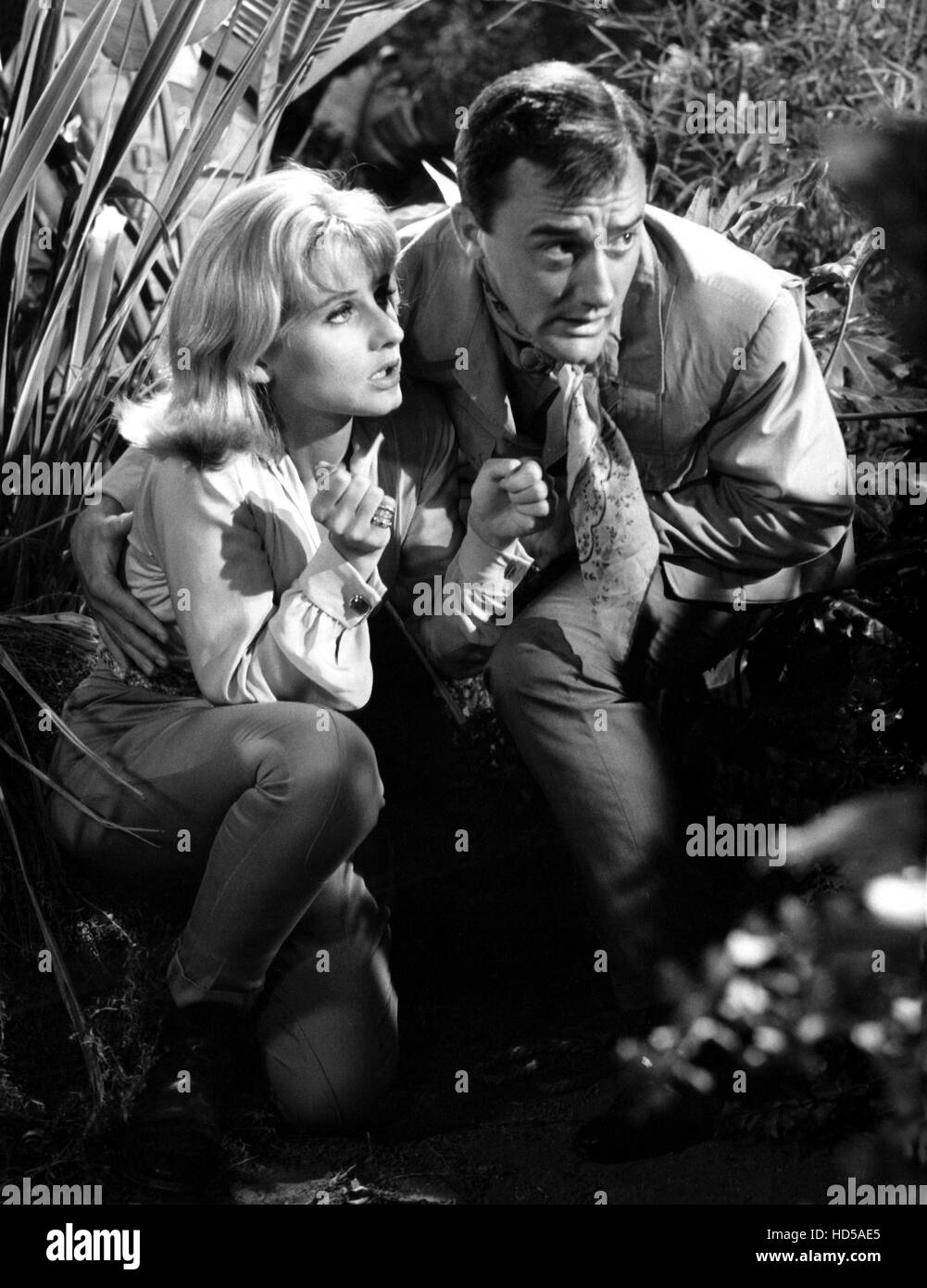 THE MAN FROM U.N.C.L.E., Jill Ireland, Robert Vaughn, 'The Tigers Are ...