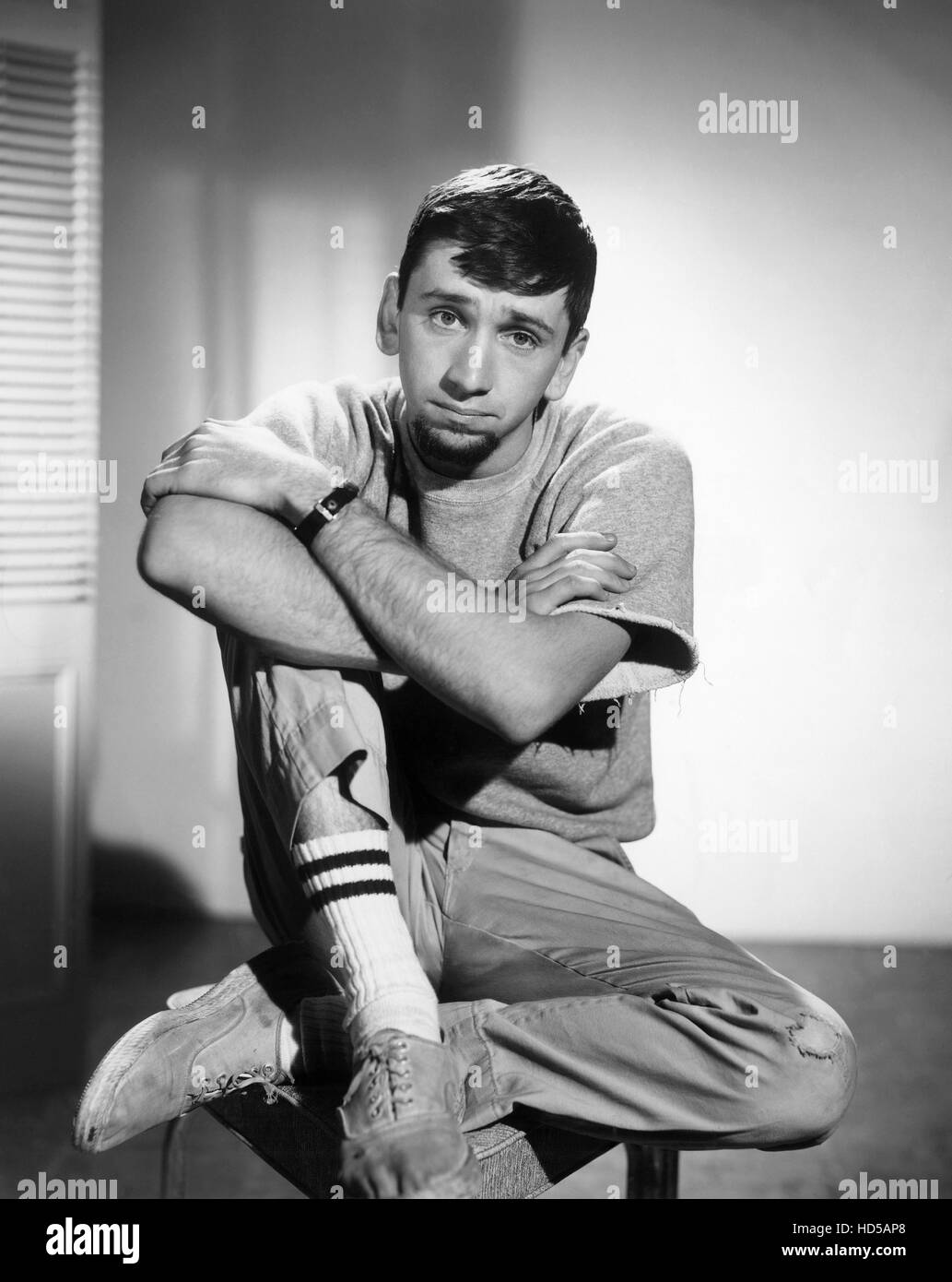 THE MANY LOVES OF DOBIE GILLIS, Bob Denver, 1959-63, TM and Copyright ...