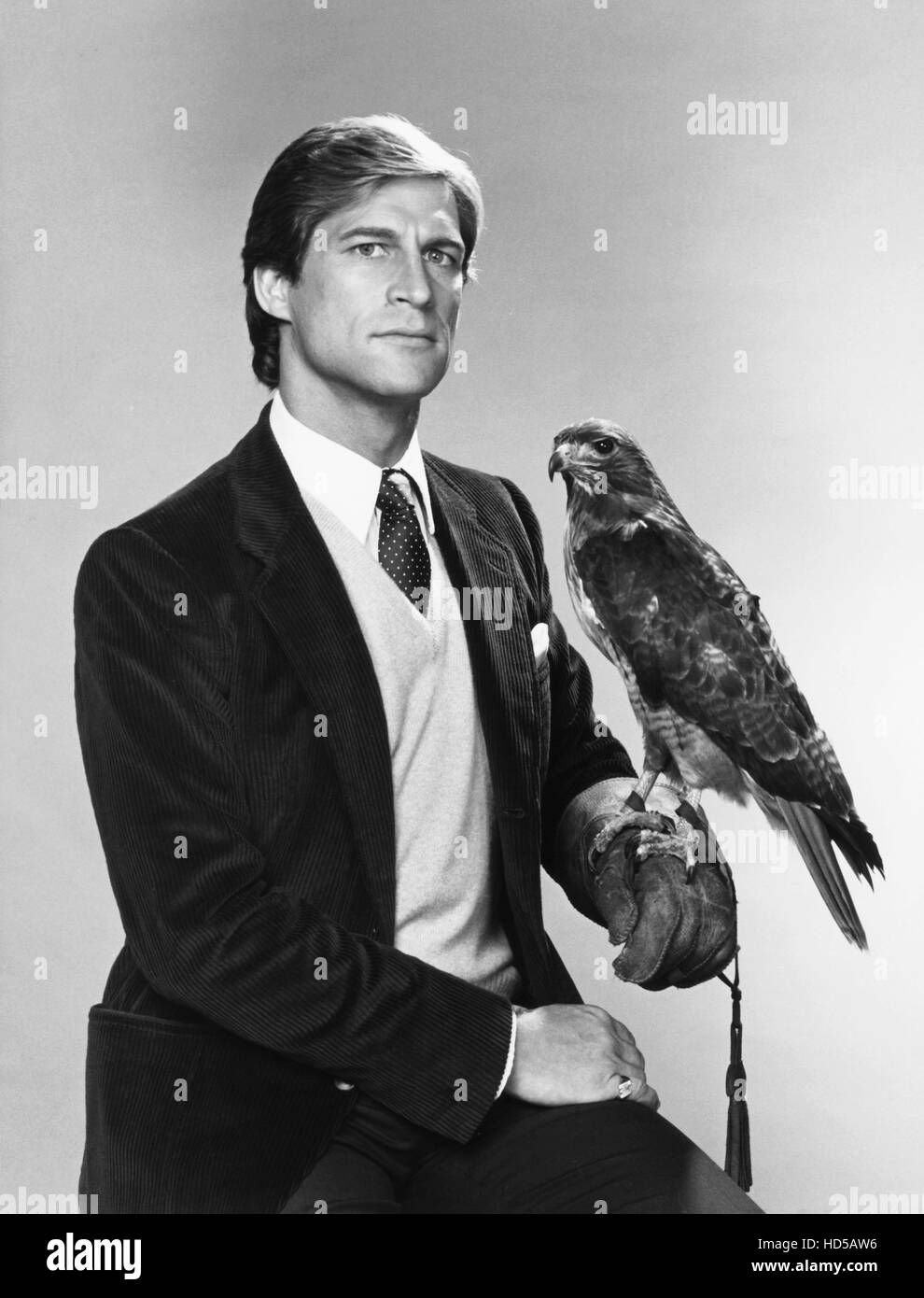 MANIMAL, Simon MacCorkindale, 1983, ©NBC/Courtesy: Everett Collection ...