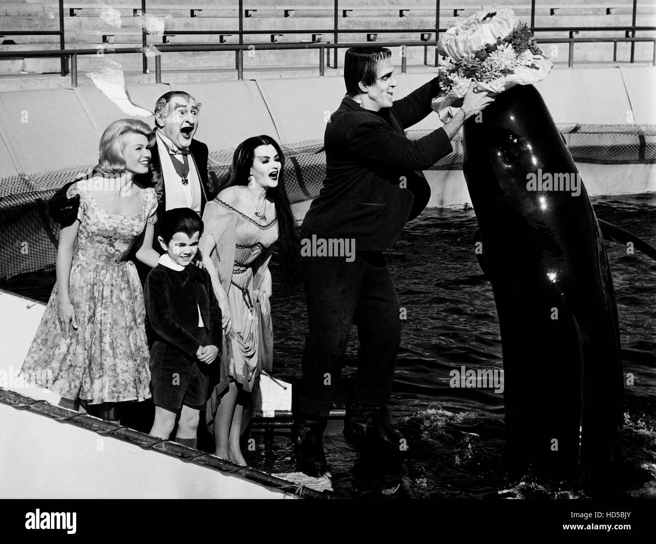 THE MUNSTERS, from left, Pat Priest, Al Lewis, Butch Patrick, Yvonne De ...