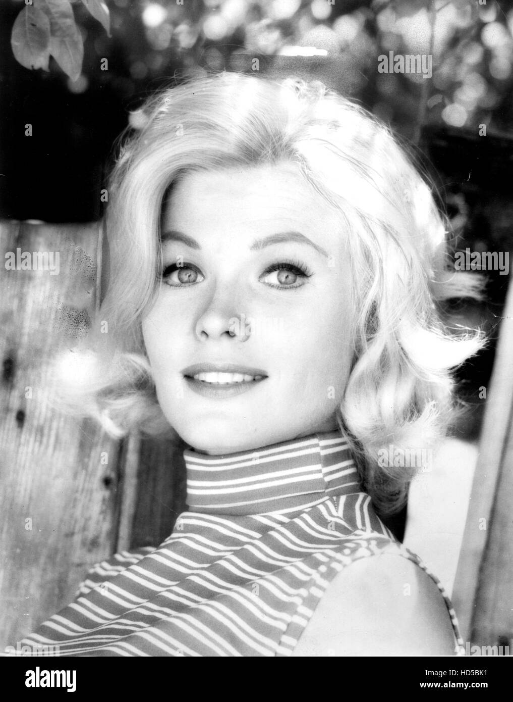 THE MUNSTERS, Pat Priest, 1964-66 (1965 photo Stock Photo - Alamy