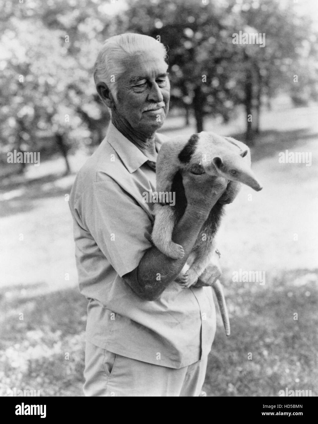 MUTUAL OF OMAHA'S WILD KINGDOM, Marlin Perkins, 1963-77 Stock Photo - Alamy