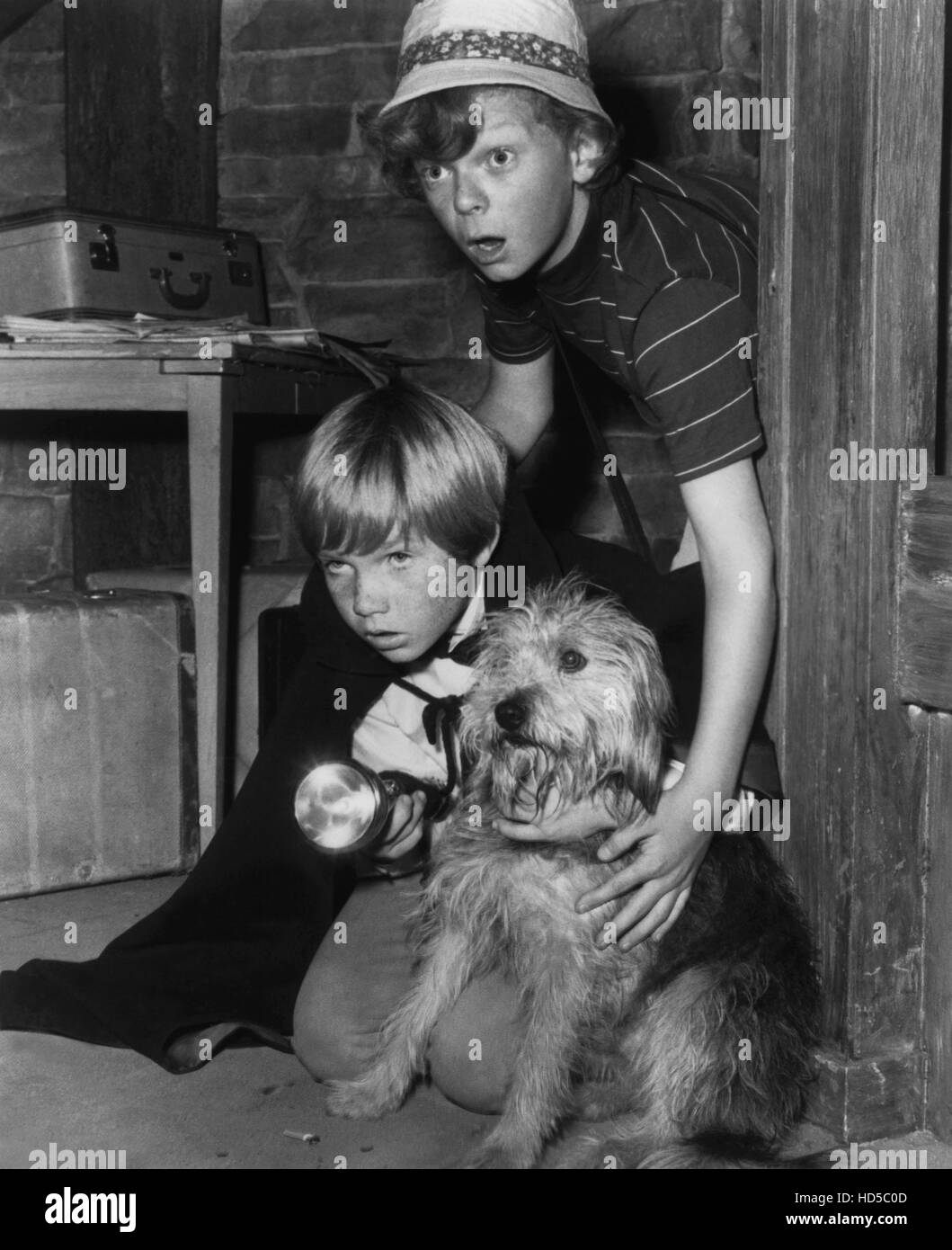 THE MYSTERY IN DRACULA'S CASTLE, Scott C. Kolden, Johnny Whitaker, 1973 ...