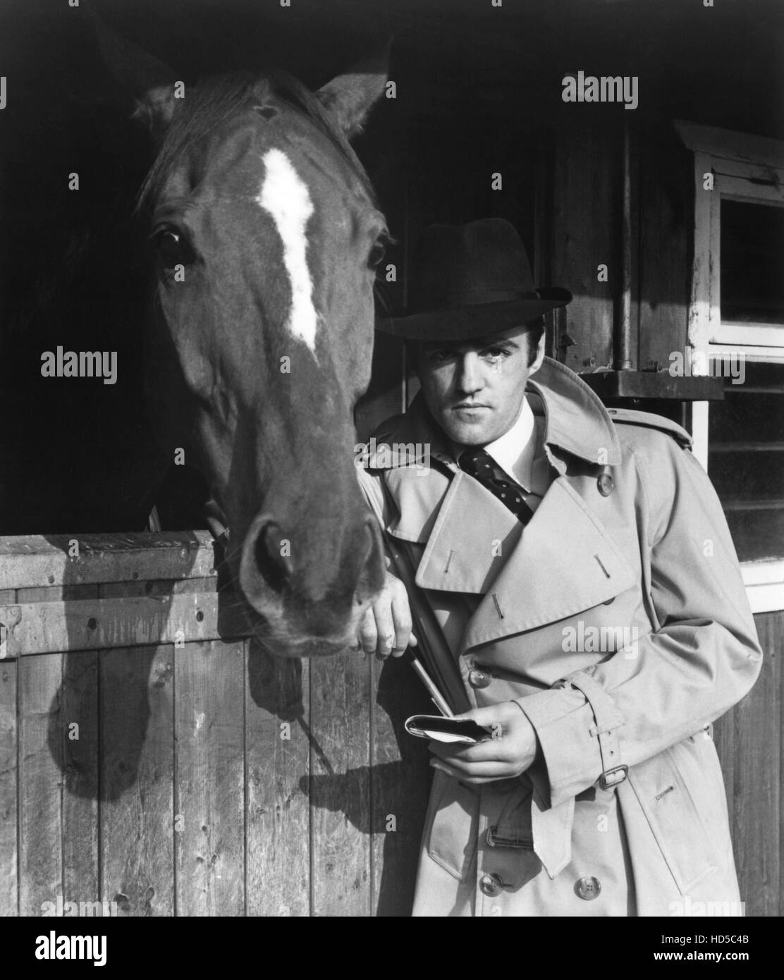 MYSTERY!, Mike Gwilym as seen in episode 'The Racing Game: Odds Against ...
