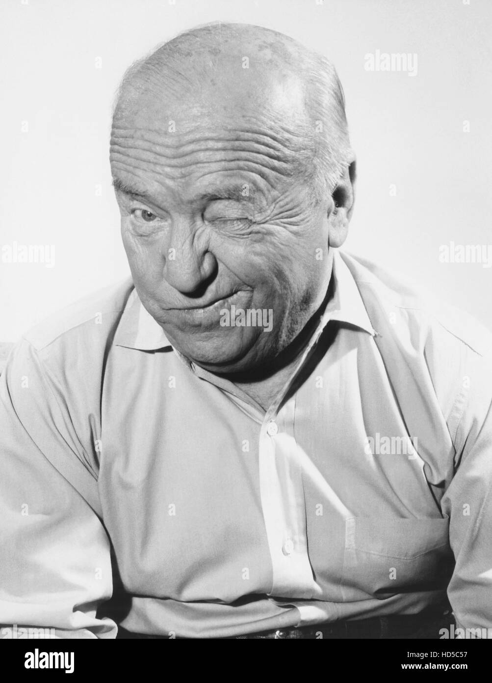MY THREE SONS, William Frawley, 1960-1972 Stock Photo - Alamy