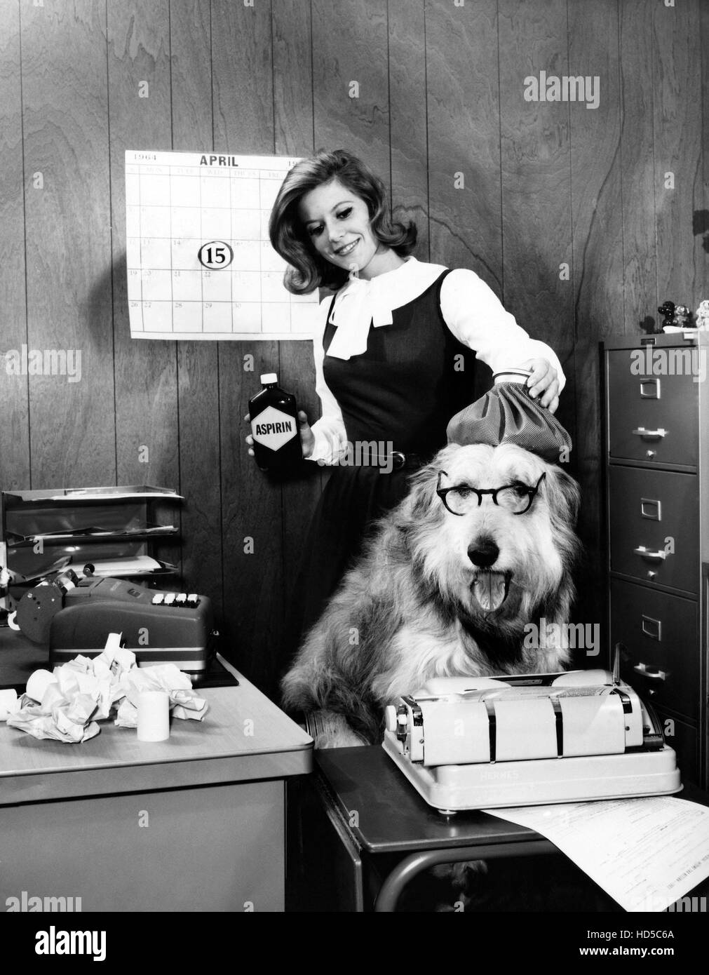 MY THREE SONS, Meredith MacRae, Tramp the Dog (1964 photo), 1960-1972 ...