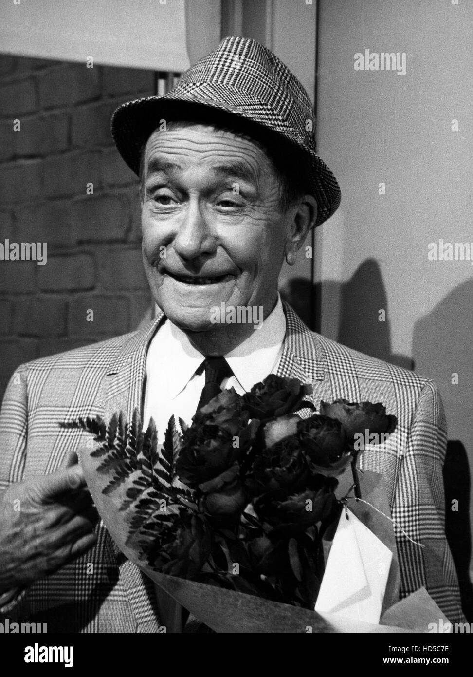 William Demarest My Three Sons