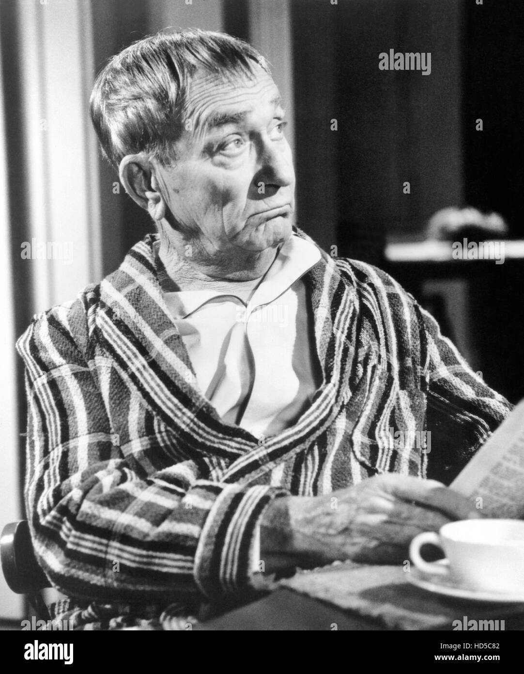 MY THREE SONS, William Demarest, 1960-72 Stock Photo - Alamy