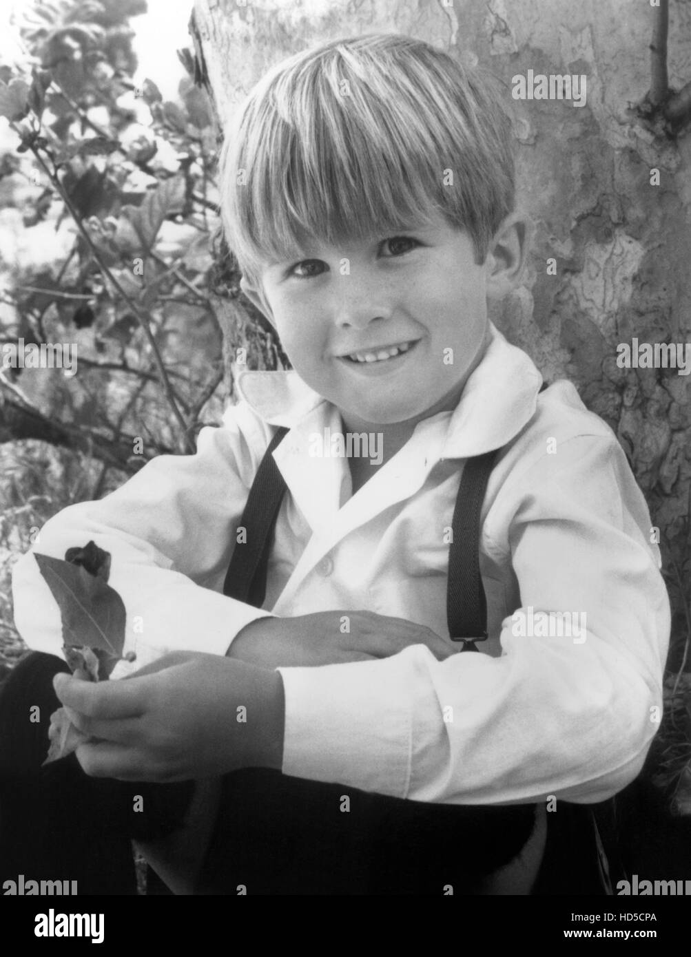 PARADISE, (aka GUNS OF PARADISE), M.P. Carter, (1989), 1988-91 ...