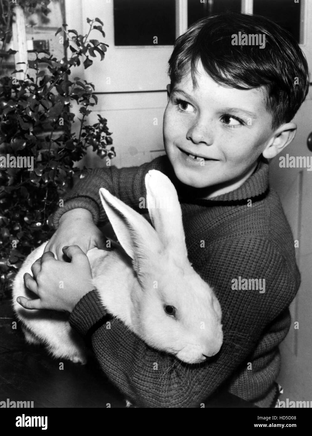 PECK'S BAD GIRL, Raymond Ferrell, 1959 Stock Photo - Alamy