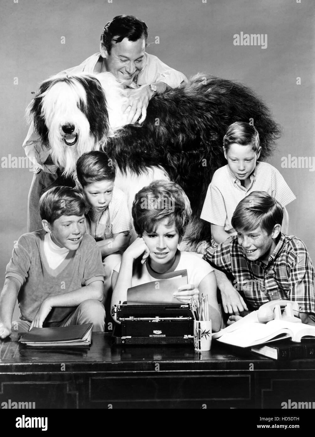 PLEASE DON'T EAT THE DAISIES, Mark Miller, Lad the sheepdog, Patricia ...