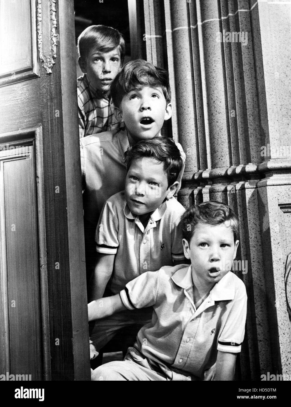 PLEASE DON'T EAT THE DAISIES, Kim Tyler, Brian Nash, Jeff Fithian, Joe ...