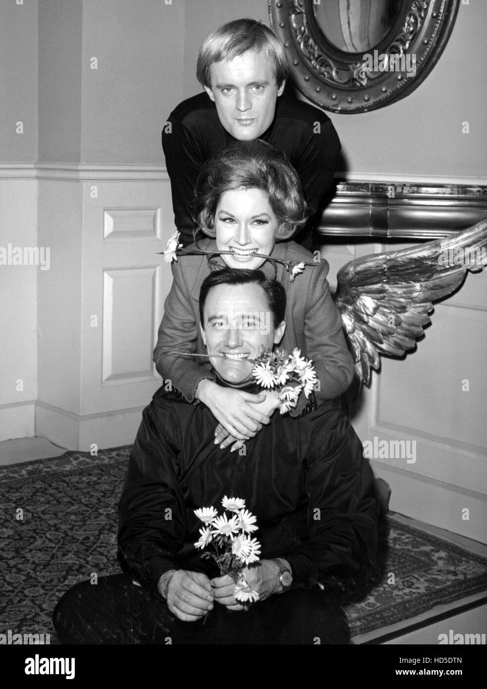 PLEASE DON'T EAT THE DAISIES, David McCallum, Patricia Crowley, Robert ...