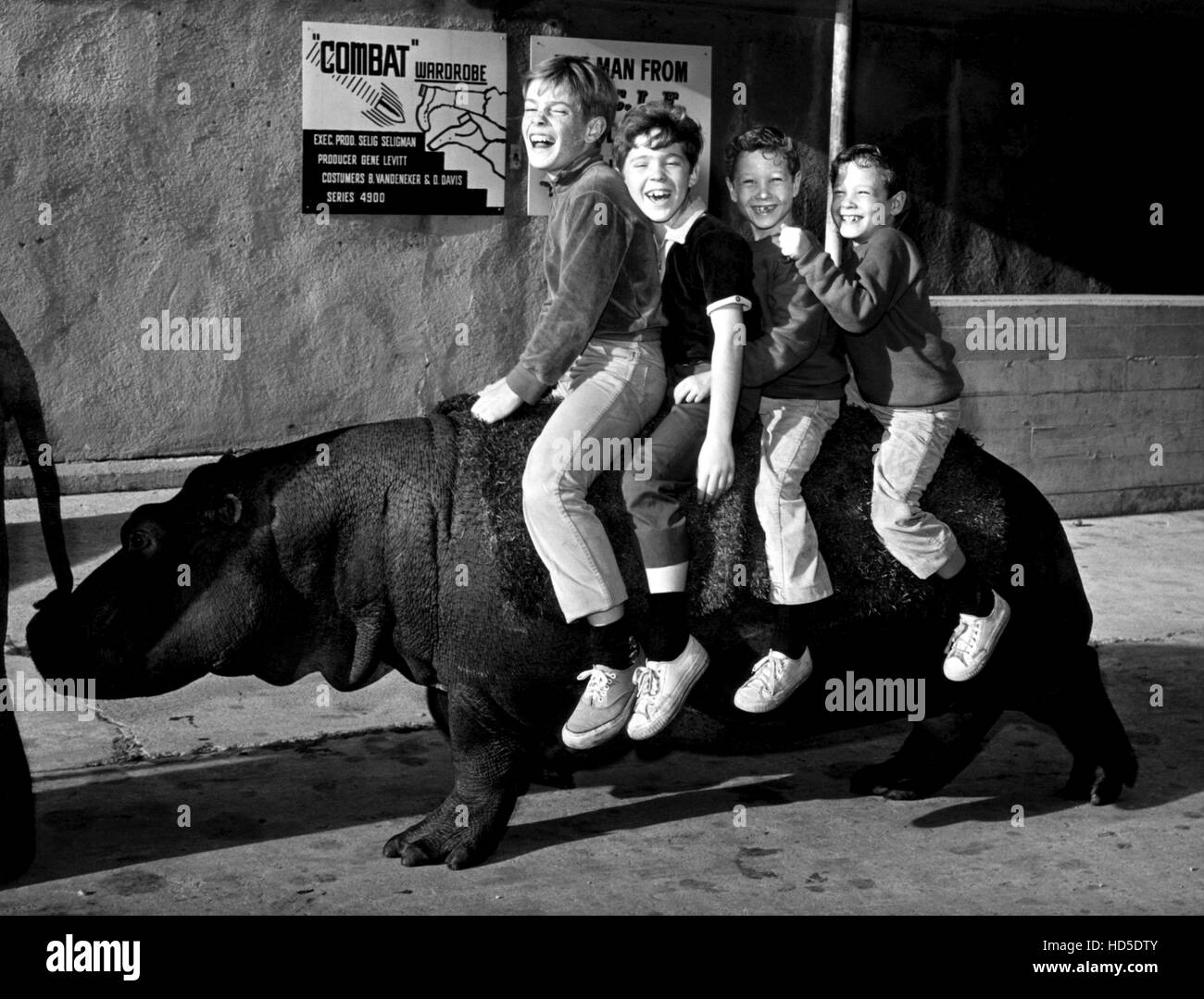 PLEASE DON'T EAT THE DAISIES, (l-r): Kim Tyler, Brian Nash, Jeff ...