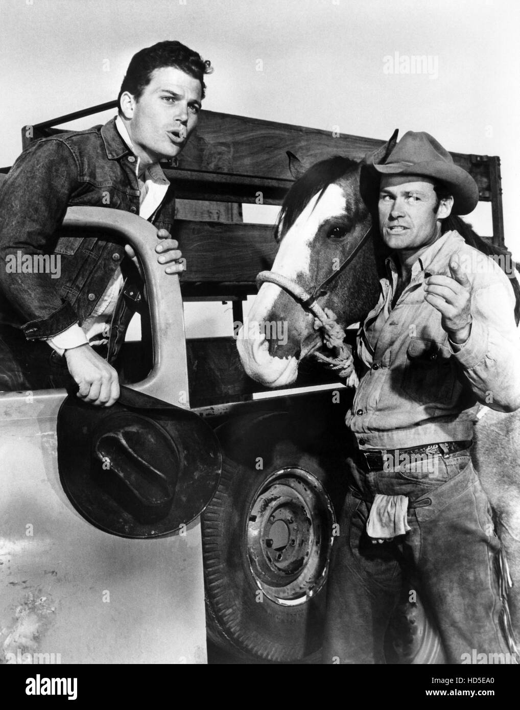 THE ROUNDERS, Patrick Wayne, Ron Hayes, 1966-67 Stock Photo - Alamy