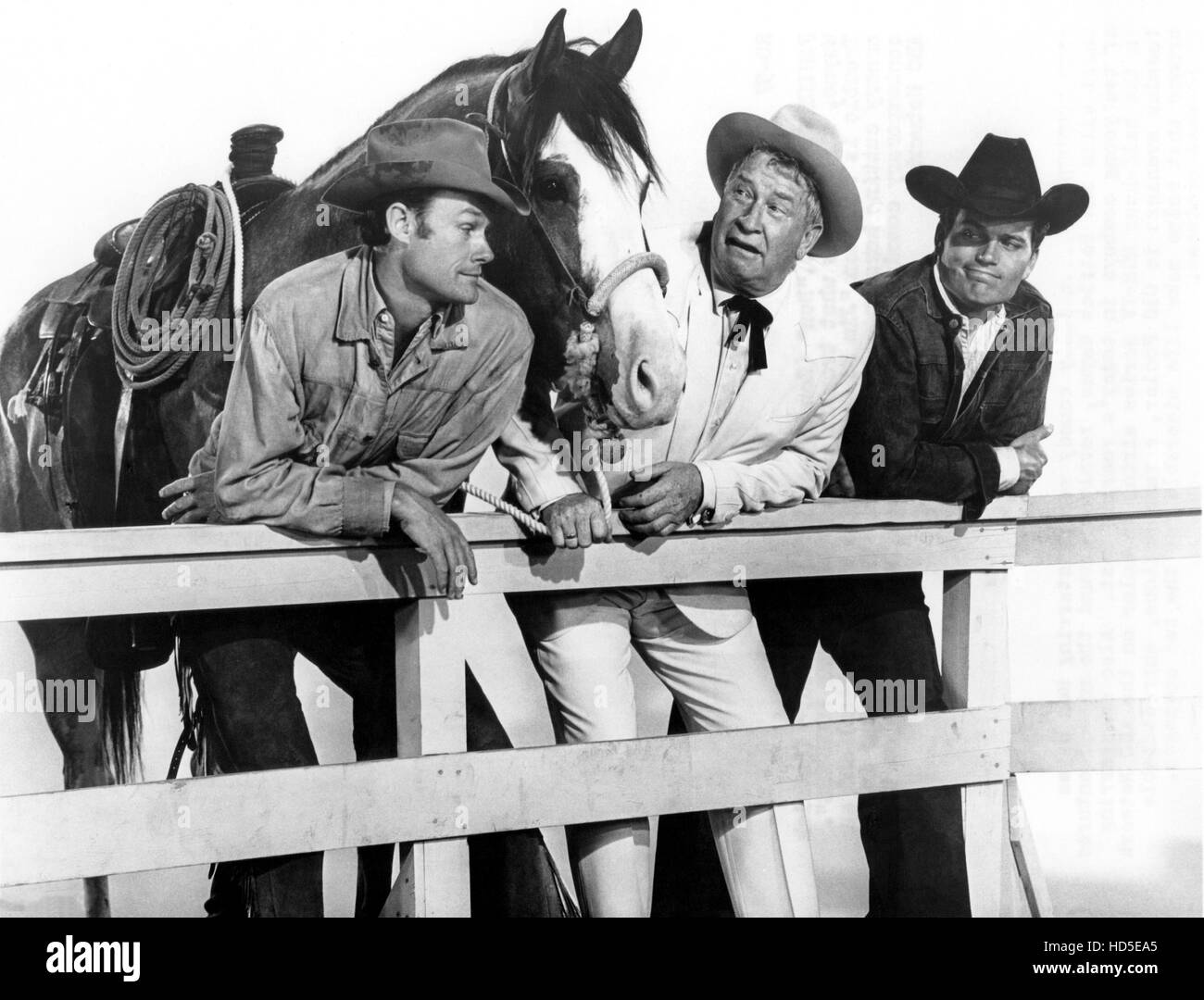 THE ROUNDERS, Ron Hayes, Chill Wills, Patrick Wayne, 1966-67 Stock ...