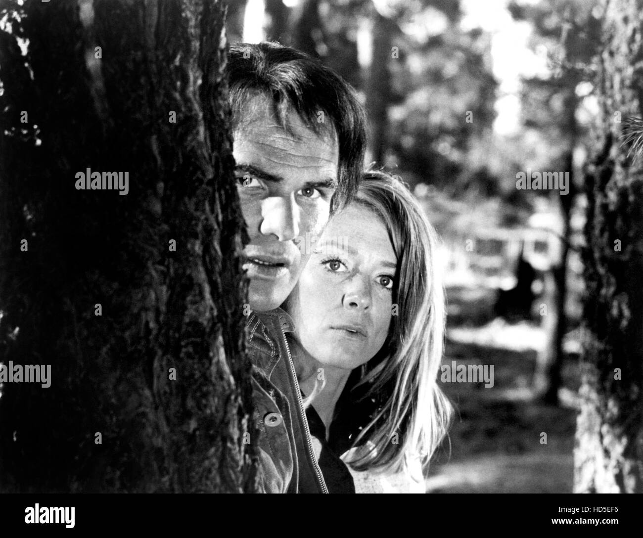 RUN, SIMON, RUN, from left: Burt Reynolds, Inger Stevens, 1970 Stock ...