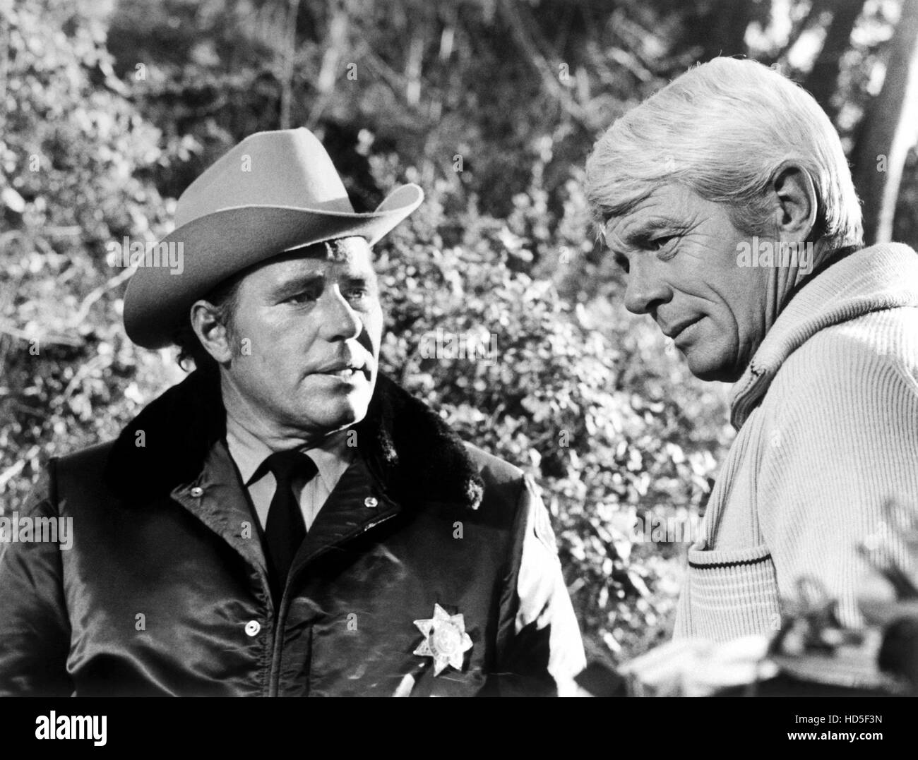 SCREAM OF THE WOLF, Phil Carey, Peter Graves, 1973 Stock Photo - Alamy