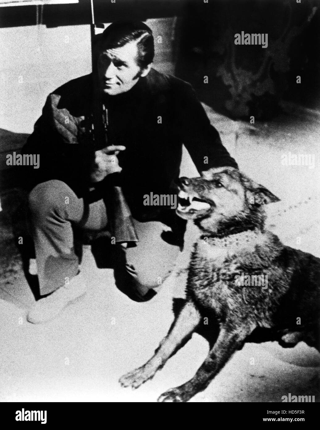 SCREAM OF THE WOLF, Clint Walker, 1973 Stock Photo - Alamy