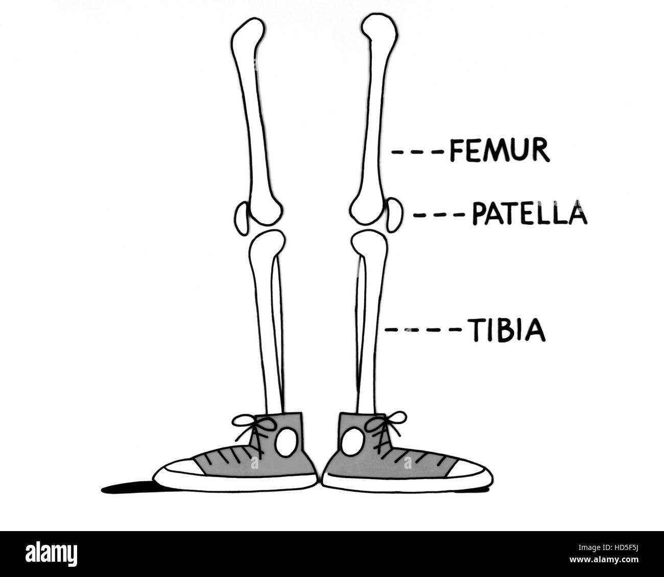 SCHOOLHOUSE ROCK!, 'Them Not So Dry Bones' (ca. 1979), 1973-2000 Stock ...