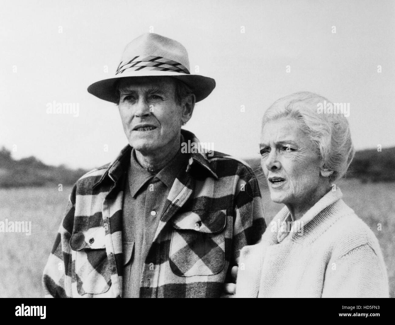 SUMMER SOLSTICE, Henry Fonda, Myrna Loy, 1981 Stock Photo - Alamy