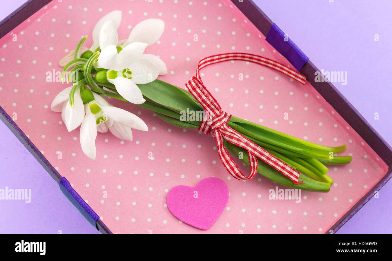 Snowdrops bouquet in romantic box with a heart Stock Photo - Alamy