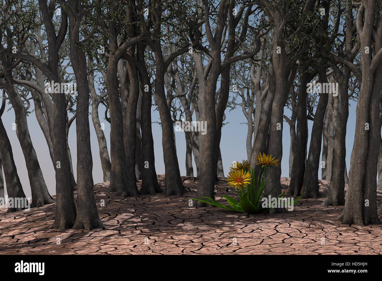 Global life expectancy hi-res stock photography and images - Alamy