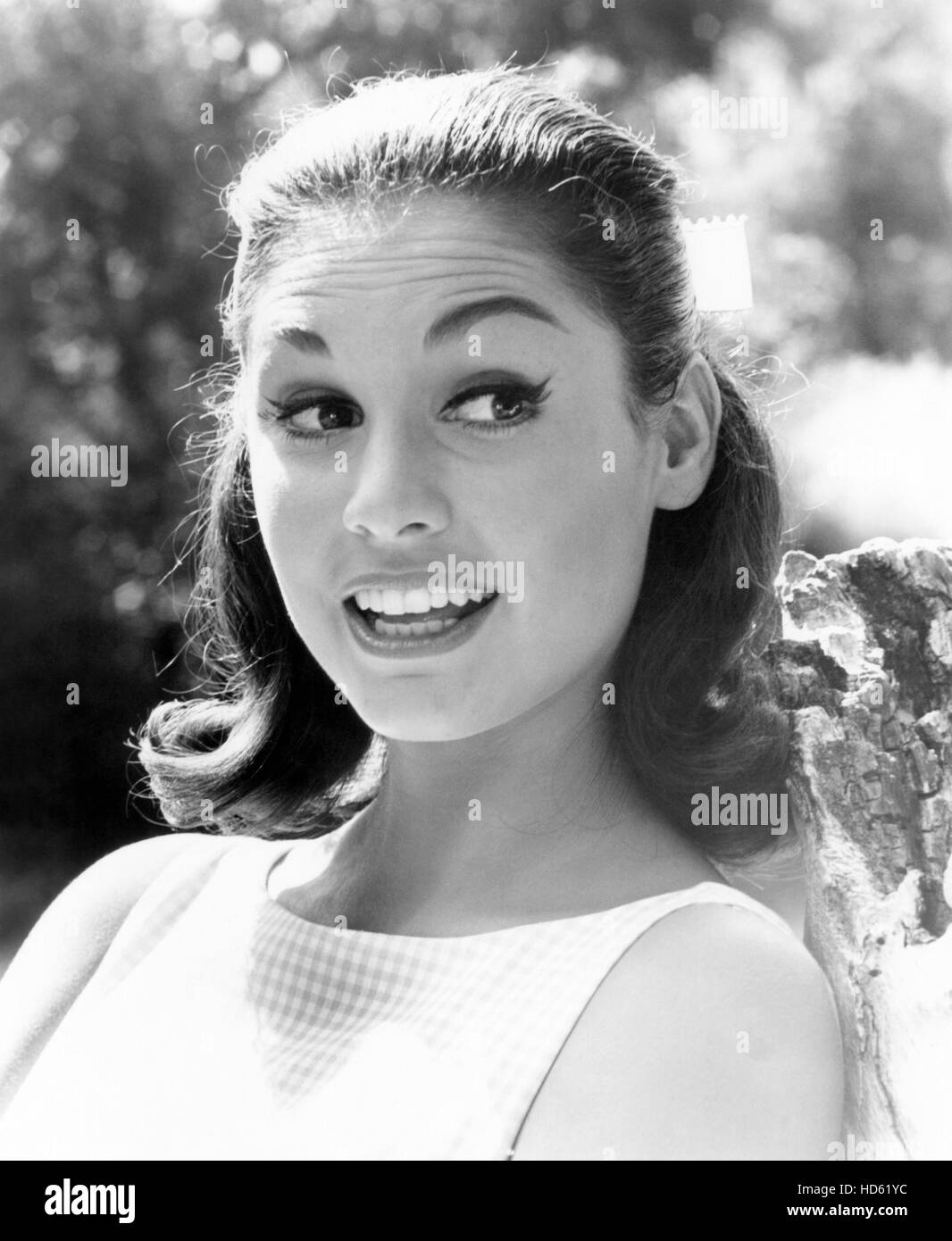 NO TIME FOR SERGEANTS, Laurie Sibbald, 1964-65 Stock Photo - Alamy