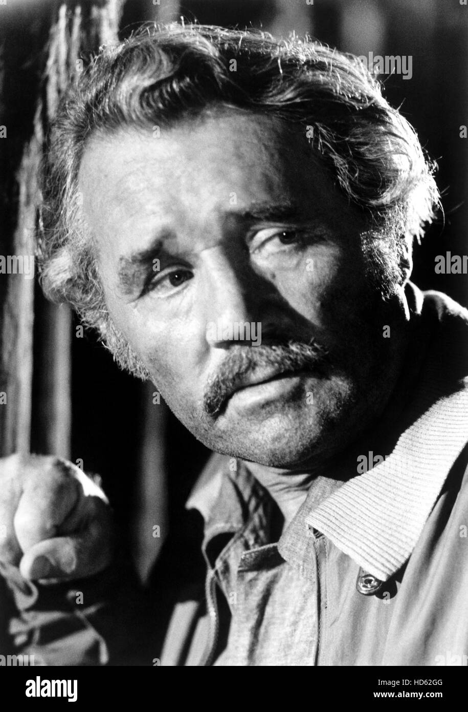 POLICE STORY, Howard Duff, 1973-79 Stock Photo - Alamy