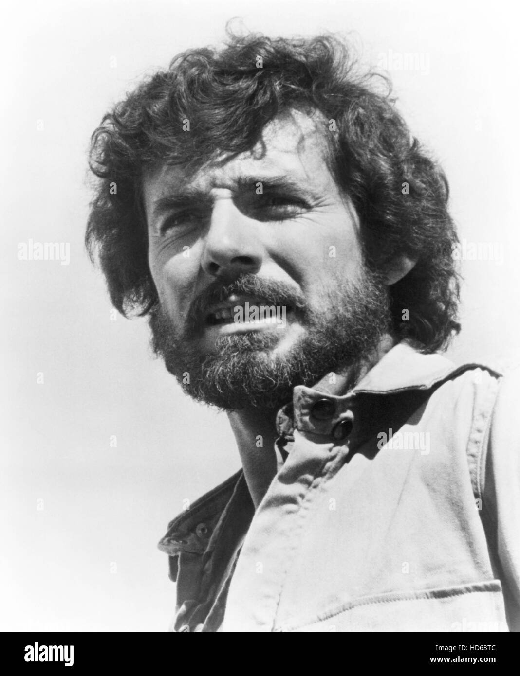 SERPICO, David Birney, 1976-77 Stock Photo - Alamy