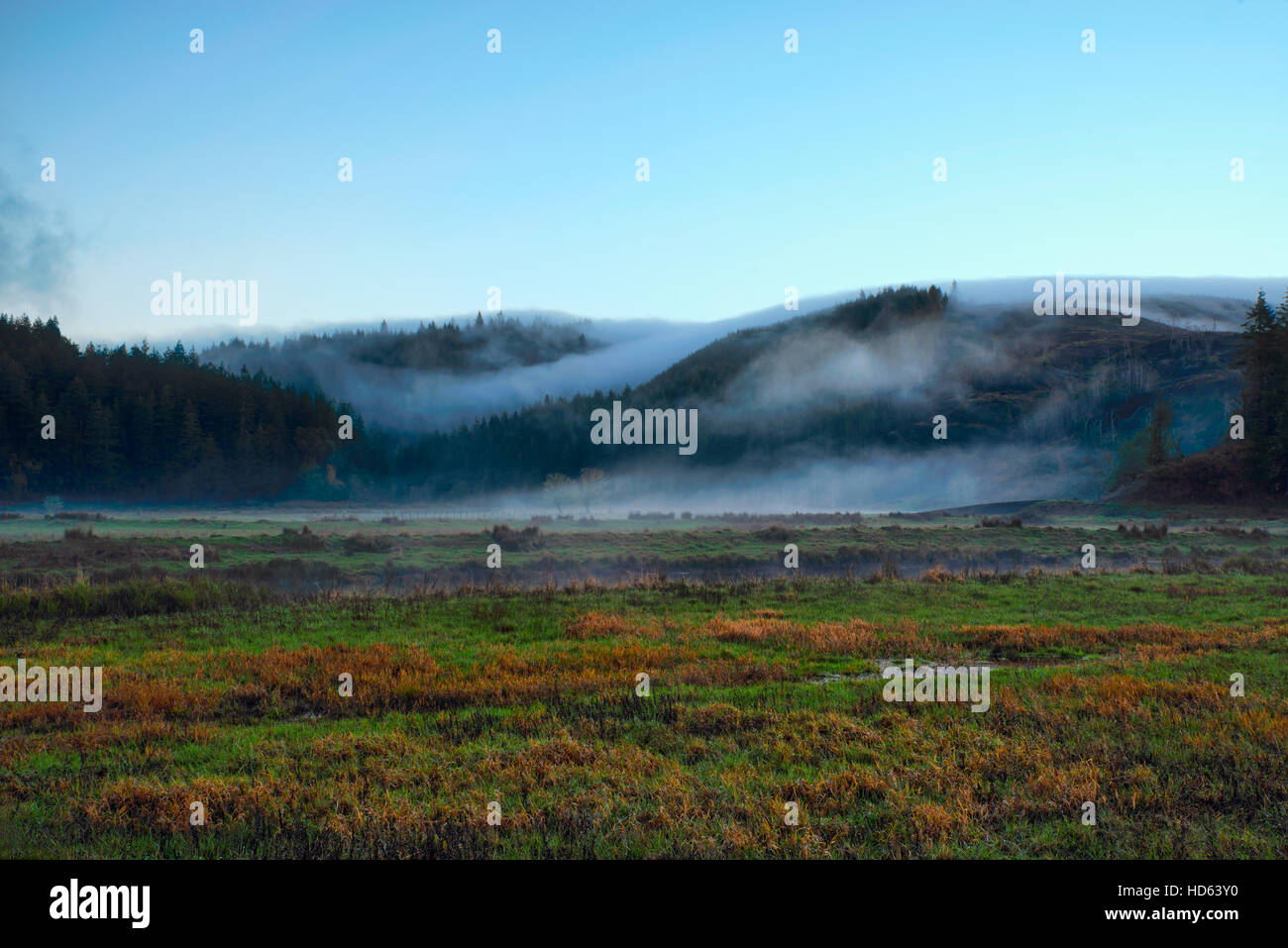 Cold oregon coast hi-res stock photography and images - Alamy
