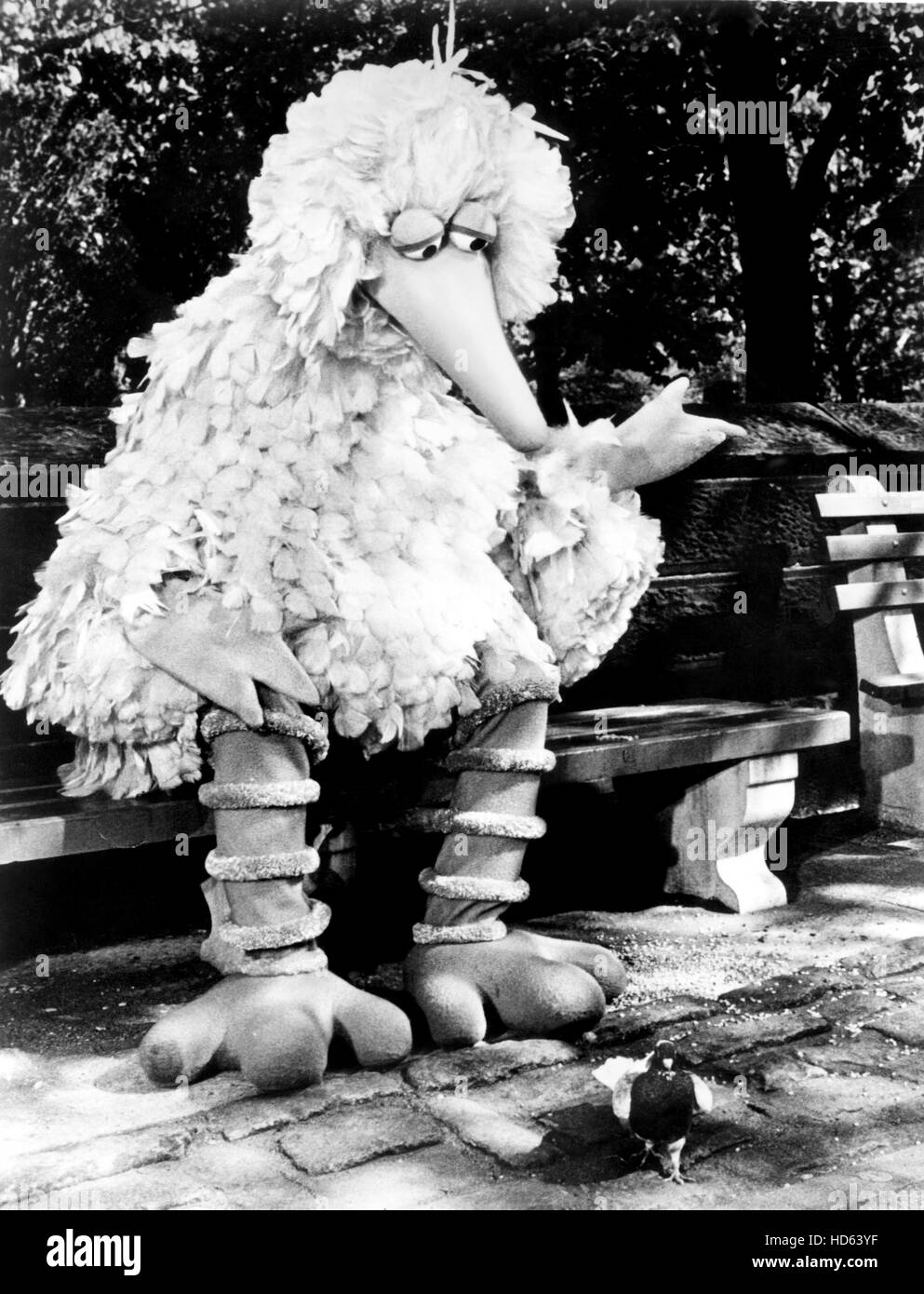 SESAME STREET, Big Bird, (circa late 1970s), 1969-. © PBS / Courtesy ...