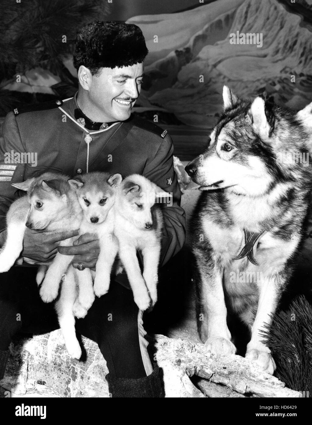 SERGEANT PRESTON OF THE YUKON, Richard Simmons, Yukon King, 1955-1958 ...