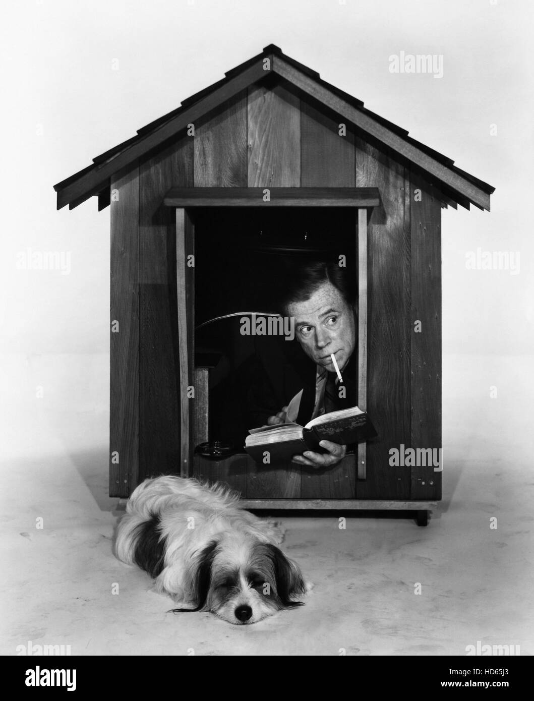THE TOM EWELL SHOW, Tom Ewell, 1960-61 Stock Photo - Alamy