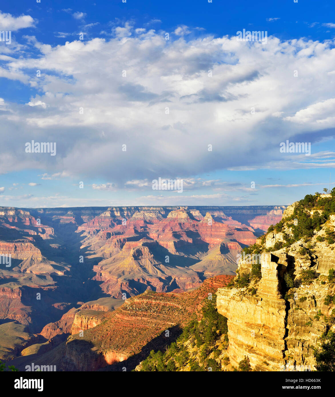 South rim grand canyon national park arizona hi-res stock photography ...
