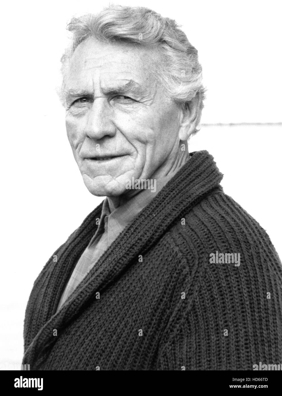 WOLF, Joe Sirola, 1989-1990, © CBS/courtesy Everett Collection Stock ...