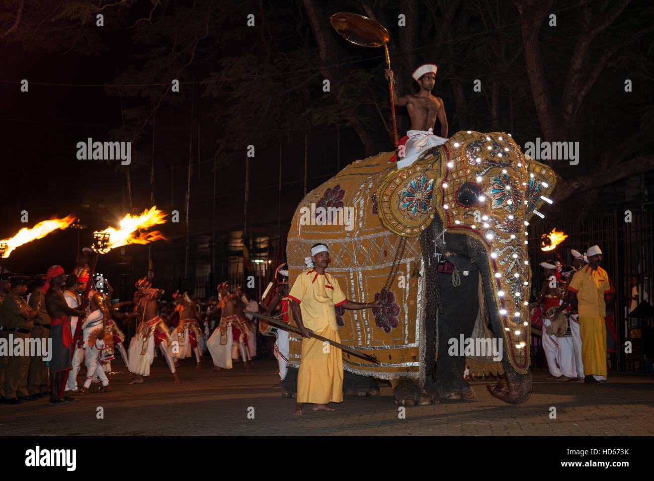 Decorated elephant, Buddhist festival Esala Perahera, Kandy, Central ...