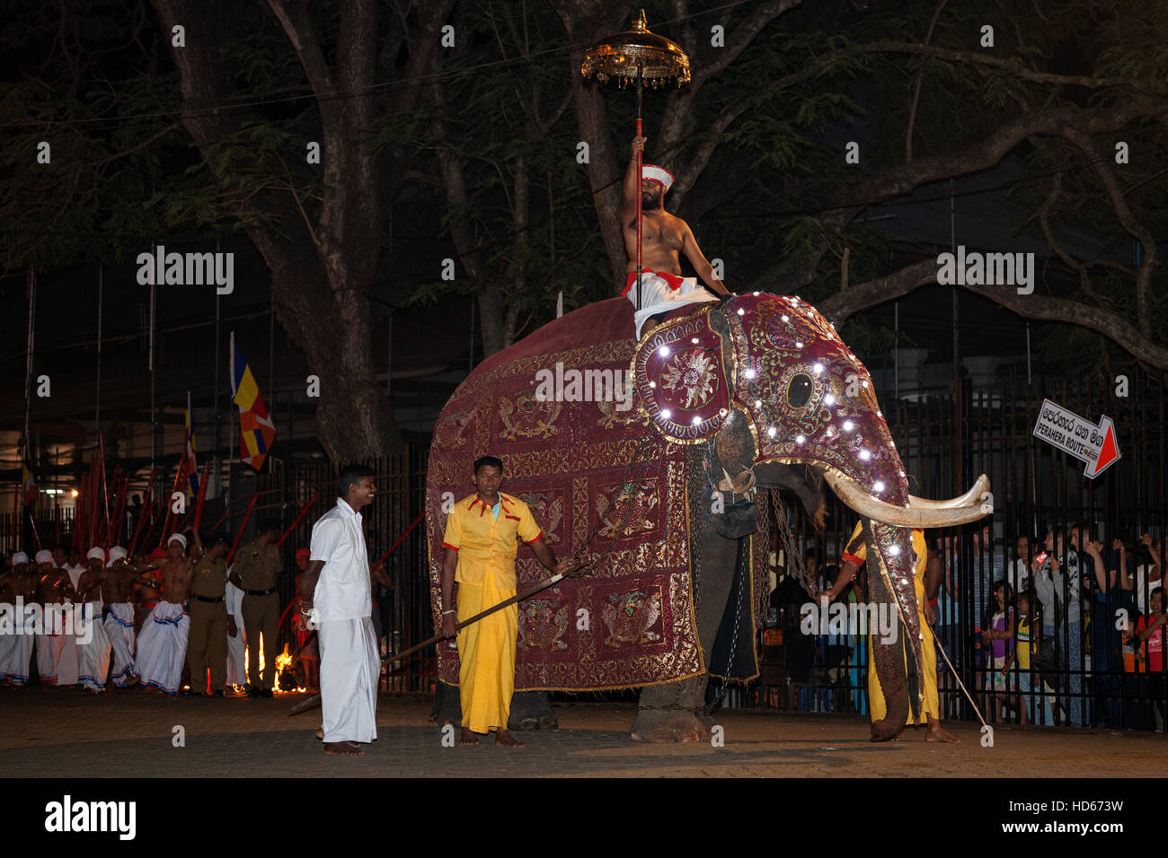 Decorated elephant, Buddhist festival Esala Perahera, Kandy, Central ...