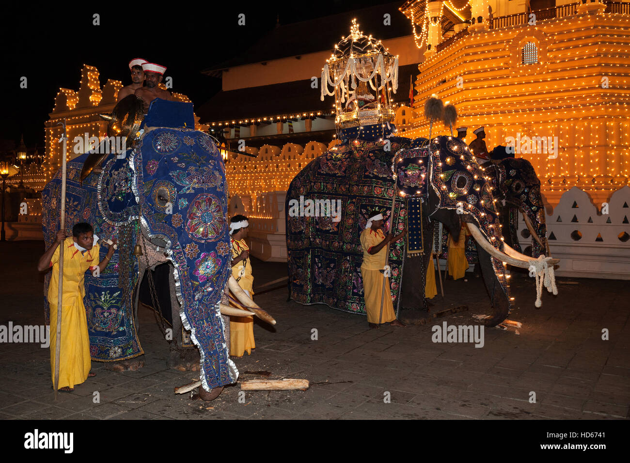 Decorated elephant sri lanka hi-res stock photography and images - Alamy