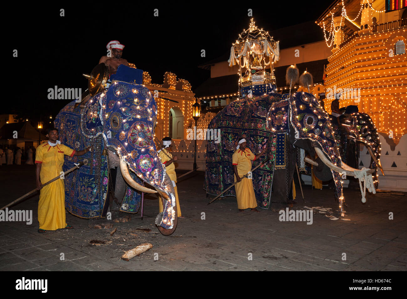 Decorated elephants, Dalada group with sacred elephant Maligawa Raja ...