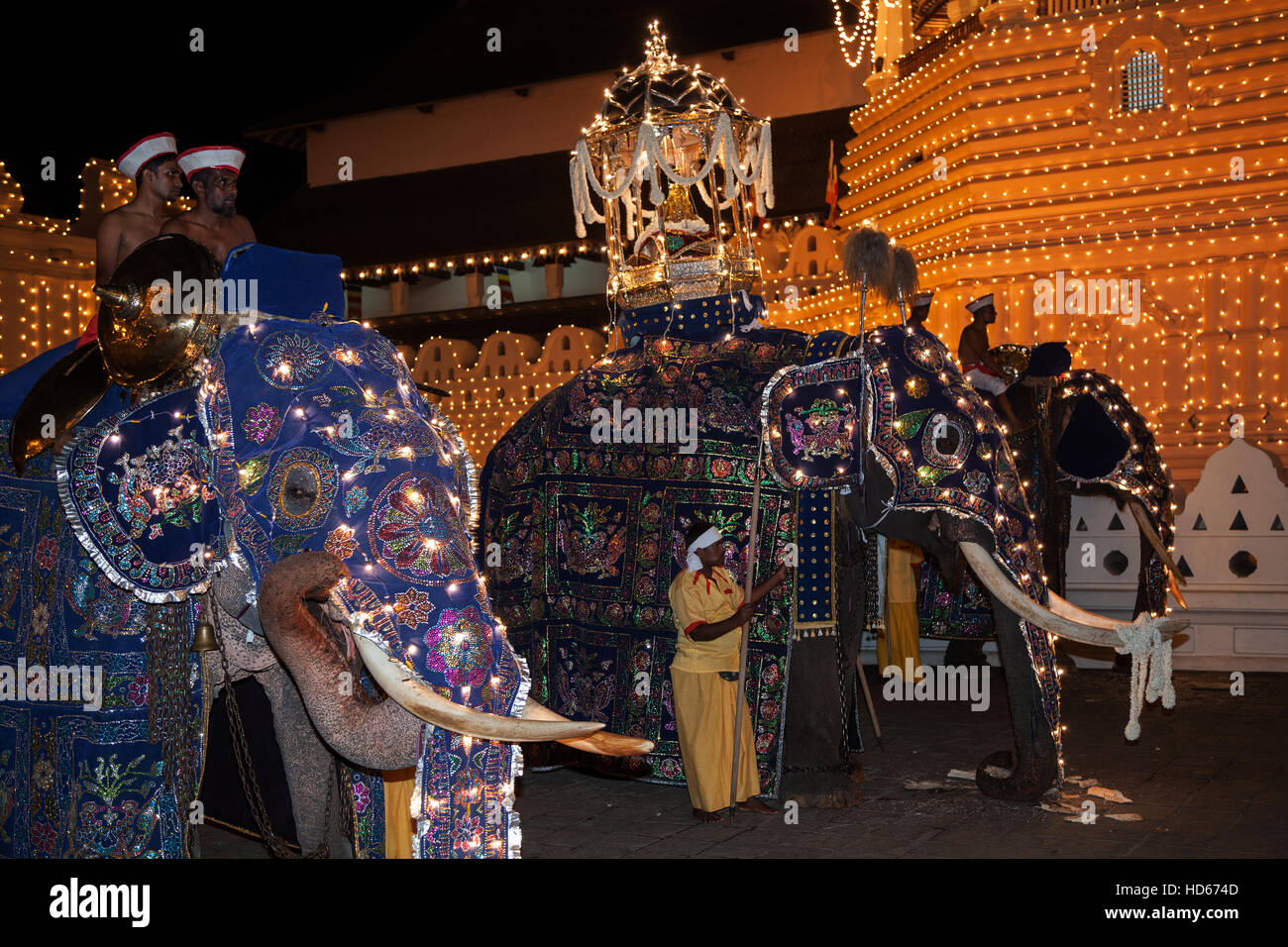 Decorated elephants, Dalada group with sacred elephant Maligawa Raja ...