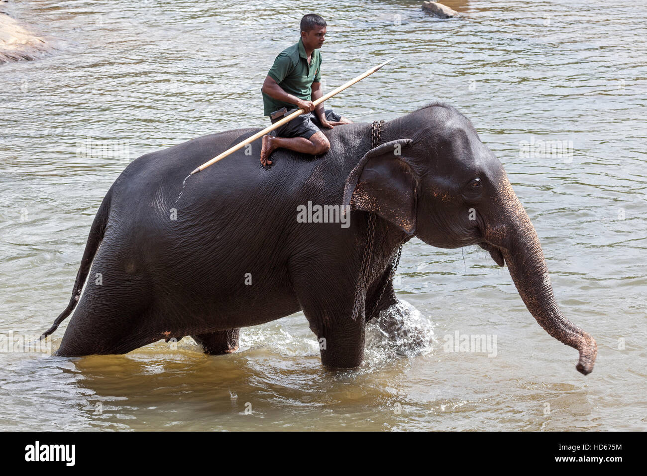 Animal rides hi-res stock photography and images - Alamy