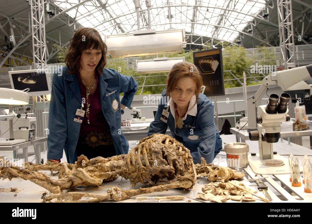BONES, Michaela Conlin, Emily Deschanel, 'Pilot', (Season 1), 2005 ...
