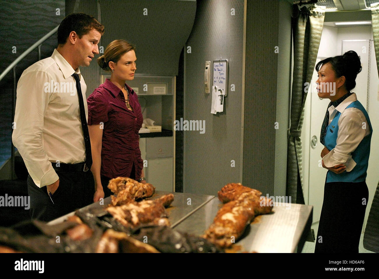 BONES, David Boreanaz, Emily Deschanel, Lydia Look, 'The Passenger in ...