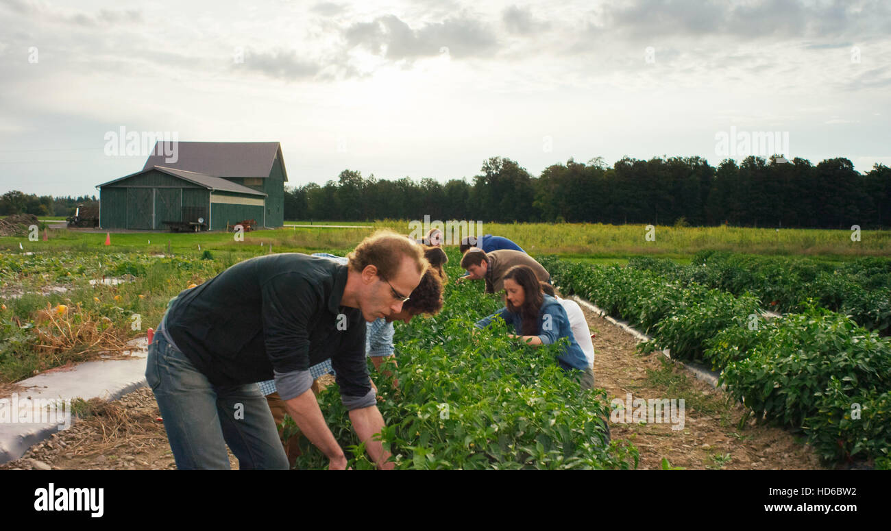 CHEF'S TABLE, chef Dan Barber, 'Dan Barber', (Season 1, ep. 102, aired ...