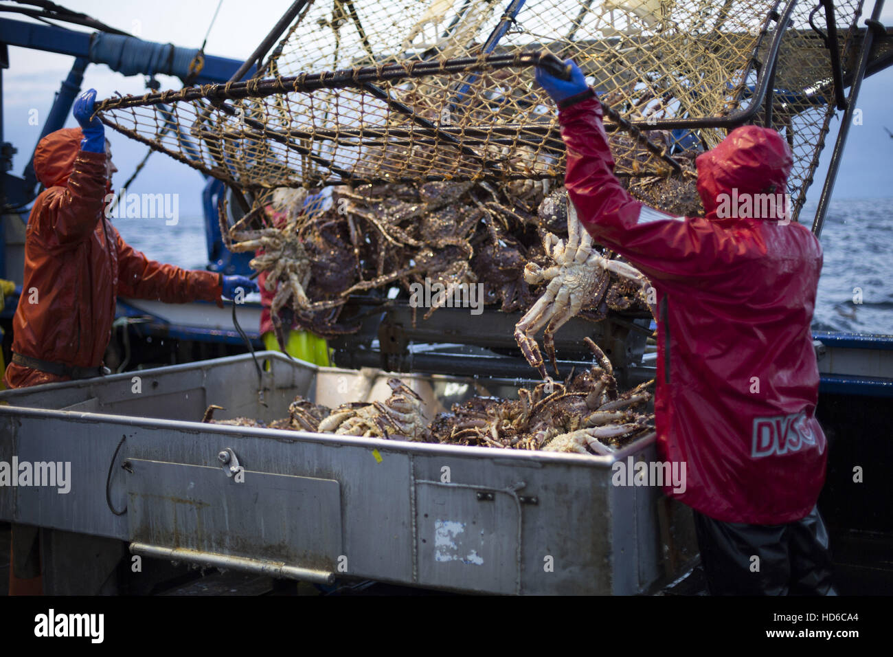 THE DEADLIEST CATCH, hauling crab on the boat the Northwestern, (Season ...