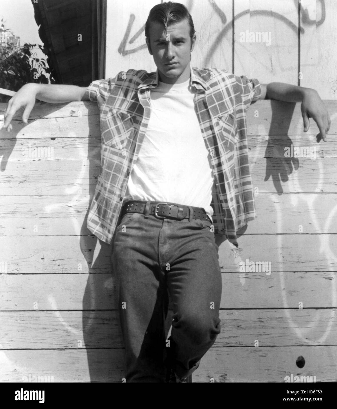 THE OUTSIDERS, David Arquette, 1990. © Zoetrope Studios / Courtesy ...
