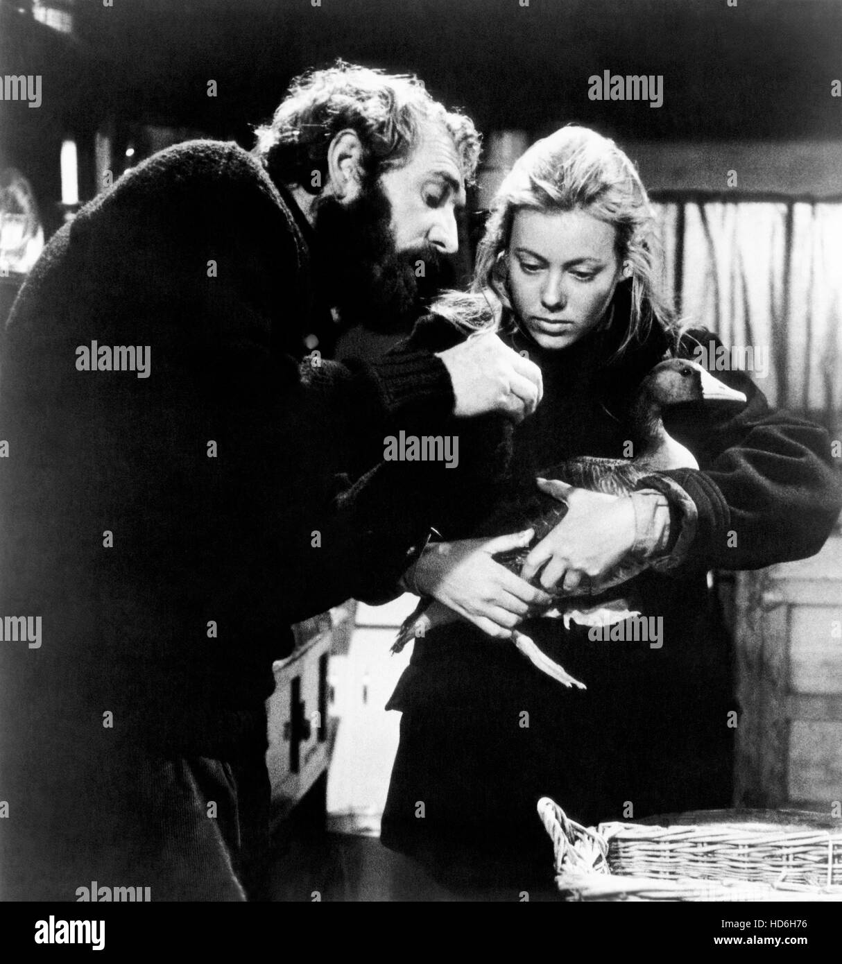 THE SNOW GOOSE, from left, Richard Harris, Jenny Agutter, aired ...